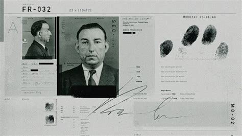 花瓣灵感详情页 花瓣网