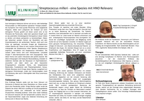 Pdf Streptococcus Milleri Relevance For Ent Pathology