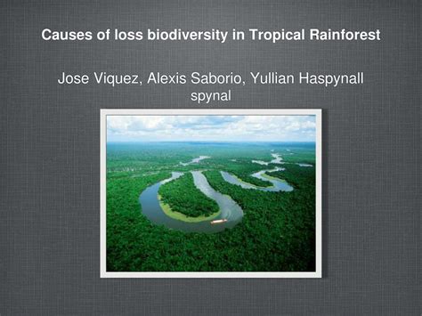 Ppt Drivers Of Biodiversity Loss In Tropical Rainforests Impact Of