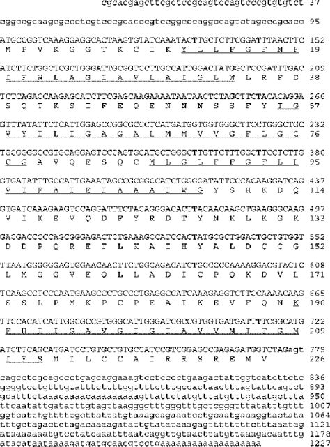 Figure 1 From Animal Cytogenetics And Comparative Mapping Semantic