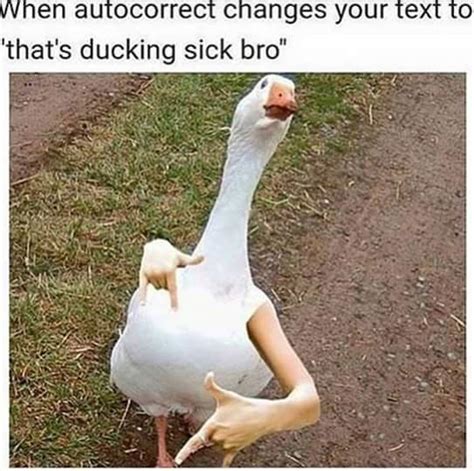 Quack Meme By Thorhammer2 Memedroid