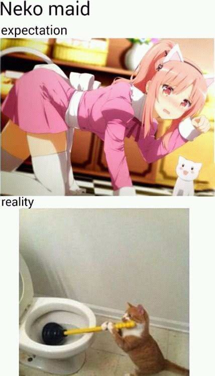 Mathcode Mathcode Twitter