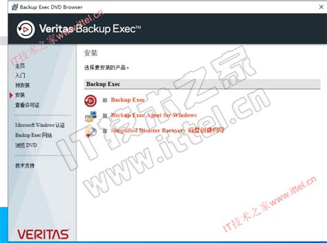 Veritas Backup Exec 24 0 下载 Windows 面向中小型企业的数据备份和恢复
