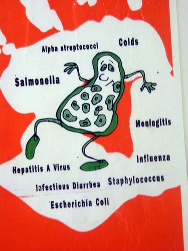 Servsafe Ch 1 7 Flashcards Quizlet