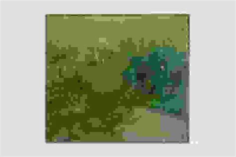 Sofía Bassi PÁjaros 1963 Artsy