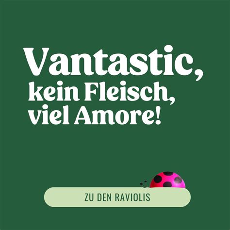 Vantastic A World Of Vegan Delights Divers And Kunterbunt