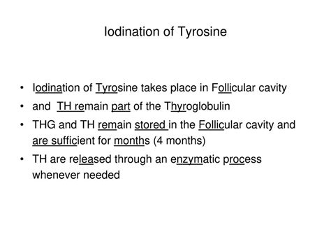 Thyroid 1 Th Synthesis Lecture No 2nd Mbbs Ppt Download