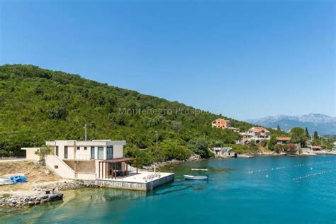 Ivan Dasic On Linkedin Should I Jump Into The Sea Before Or After My Morning Coffee… Hmmm