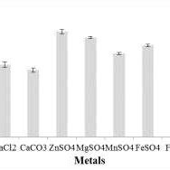 A B C Alkaline Protease Activity Of Strain Bacillus Licheniformis