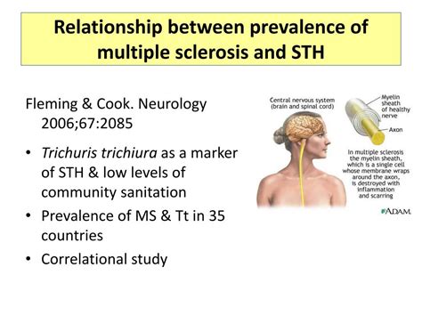Ppt Insights From Experimentally Infecting Humans With Hookworm