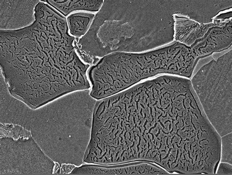 Ferrit Metallografat