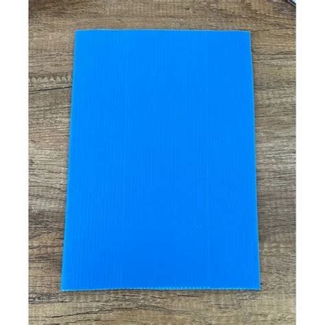 Size 10 Inch Width Plain Blue Pp Sunpack Sheet Thickness 4 Mm At