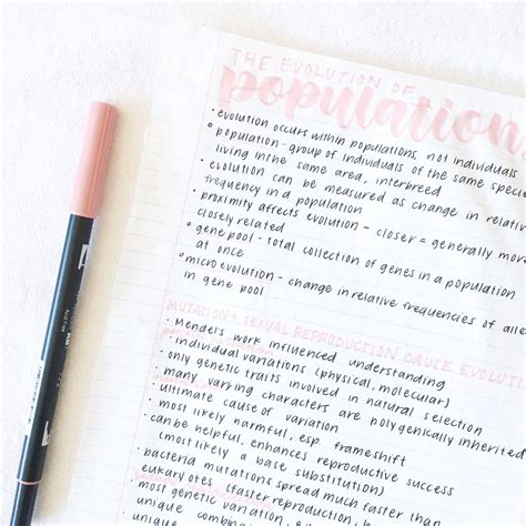 Lettre De Motivation Mutation