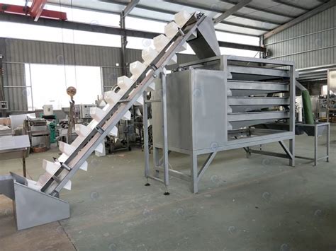 nut grading machine shipped to guatemala