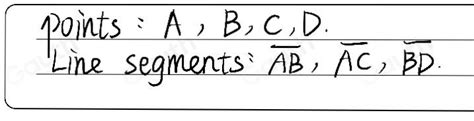 Solved Identify All Points And Line Segments In The Picture Below Points A B C D Points A