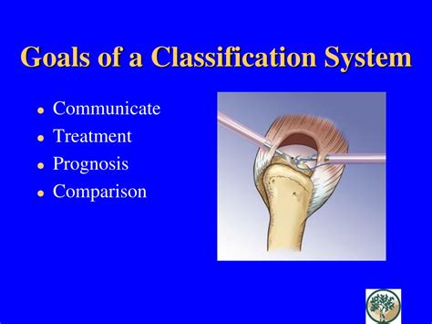 Ppt Geometric Classification Rotator Cuff Tears Powerpoint
