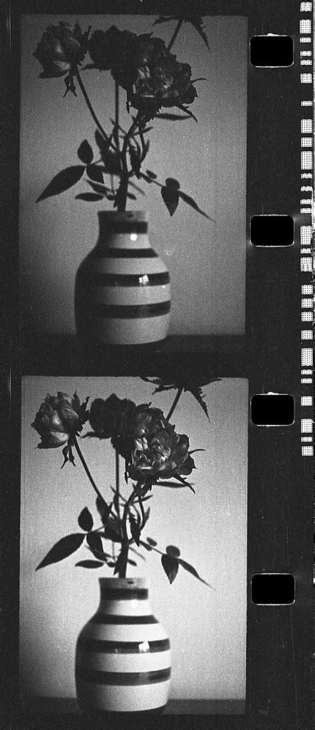 花瓶 Mec16 Scotchs Flickr