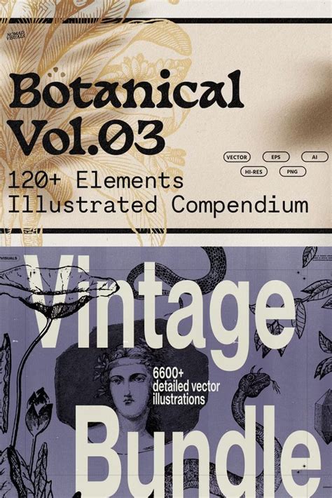 Vintage Bundle 6600 Illustrations Grafiked Design Inspirations
