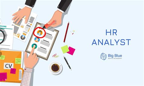 Hr Analyst Definition And The Roles Importance