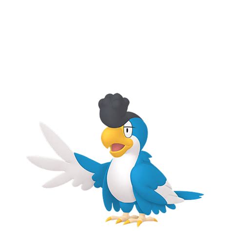 Squawkabilly Blue Plumage Pokédex Pokémon Info 寶可夢資訊站
