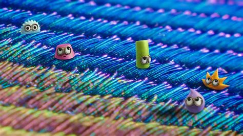 Tiny Wonders Series 2 7 Peacock Feather Bbc Iplayer