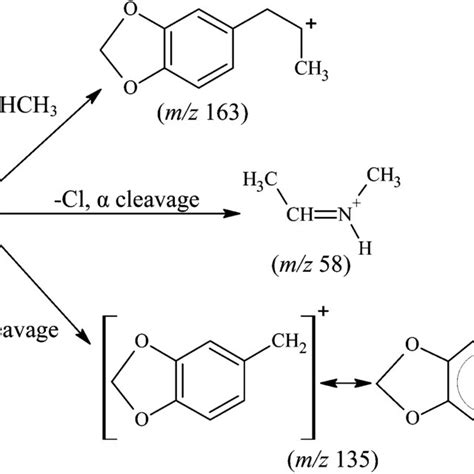 Proposed Structure And Fragmentation Pattern For Reaction Product