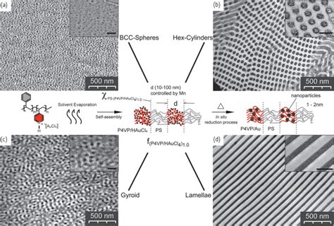 The Four Hybrid Diblock Copolymer Morphologies After Incorporation Of Download Scientific