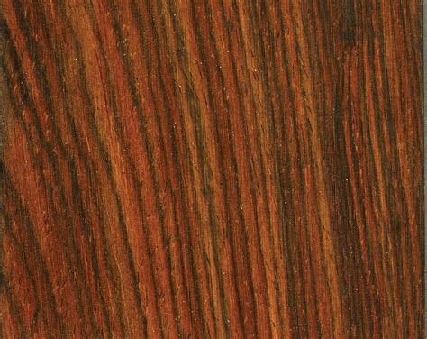 Worlds Most Exotic Wood Top 16 Types Of Exotic Wood You Must Explore
