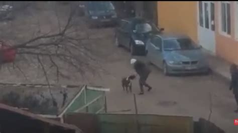 Trei Persoane Rănite După Ce Au Fost Atacate De Câini Amstaff Bărbat Mușcat în Zona Genitală