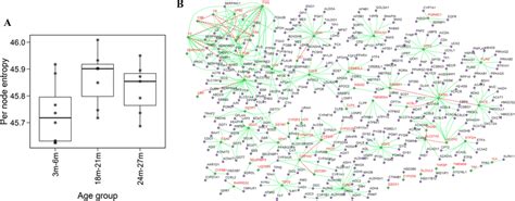 Network Entropy Based Analysis Of Liver Ageing Network A Boxplot