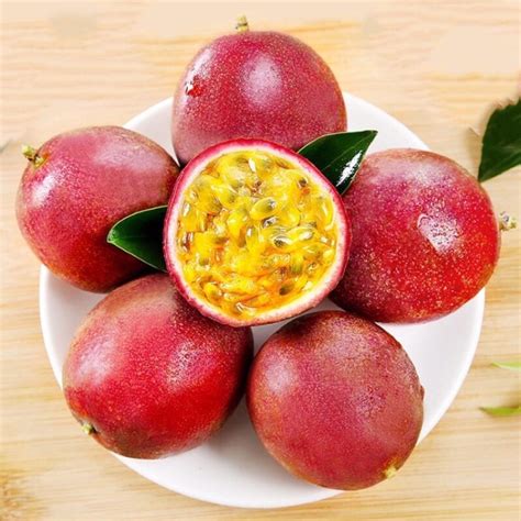 Jual 10 Bibit Buah Markisa Merah Manis Super Benih Tanaman Buah Markisa