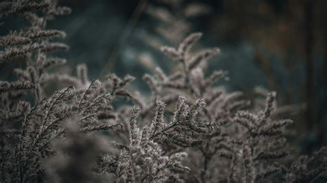 Dharmik Background Photos Download The Best Free Dharmik Background