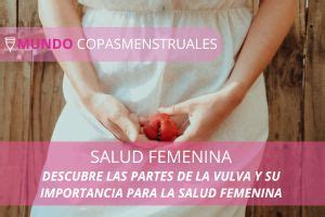Guía De Salud Conoce Las Partes Claves De La Vulva