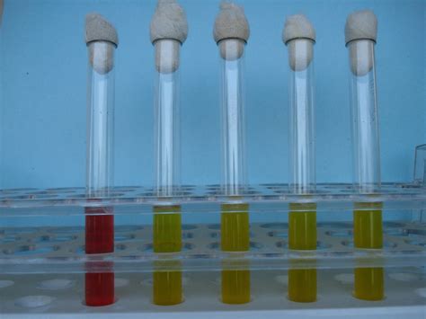 Biochemical Analysis Service In Salem Id 6651439648