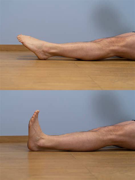 Tibialis Posterior Tendinopathy Early Exercise Programme Pure