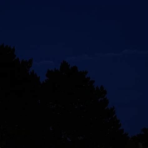 Spoder Pages Lyrics Genius Lyrics