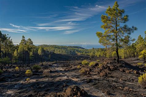 Closeup Of The Vertical Stripes On An Ancient Column Highlighting Their Texture And Colors In