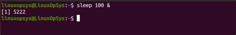 Foreground And Background Processes LinuxOPsys