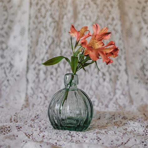Orange Disbud Mums Large Size Cushion Style 10 Stem Bu You Floral