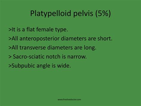 Anatomy Of The Female Pelvis Pptx
