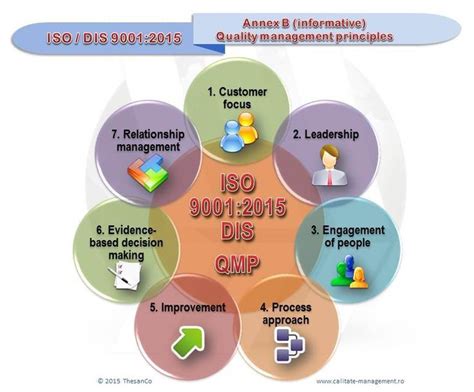 8 Principles Of Iso 9001 Aaliyahecibarra
