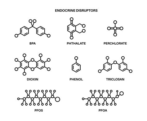 Hormone Disruptors In Clothing Two Moons Two Moons Health