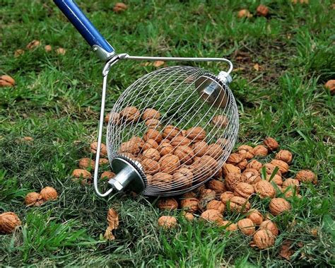Nut Harvesters — Nut Solutions Australia