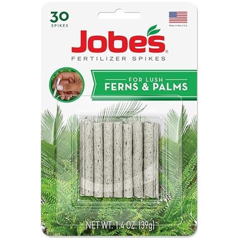 10 Best Fertilizers For Palm Plants To Keep Them Thriving Year Round