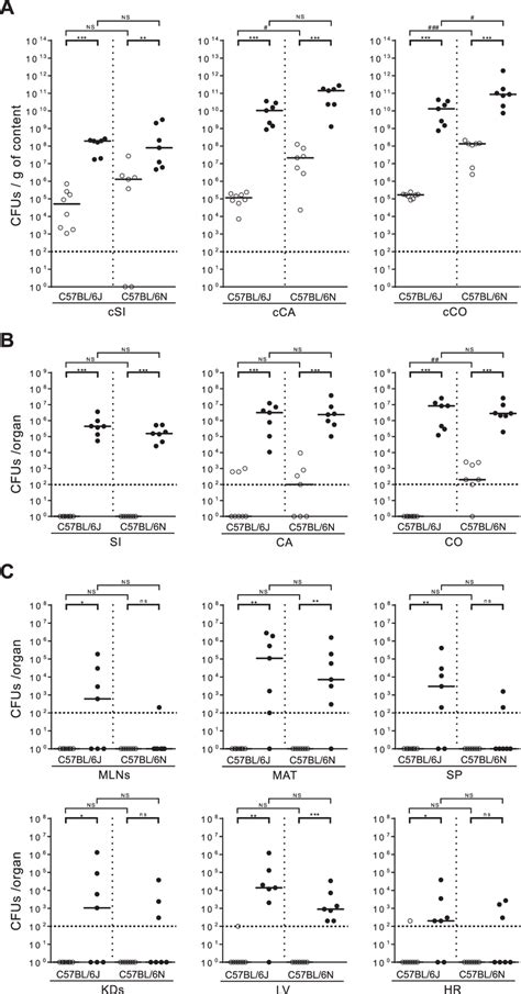 Effect Of Clindamycin On The Levels Of Indigenous Enterococci In The Download Scientific