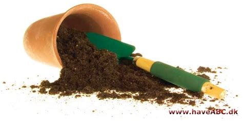 Hvor Stor Er En Stor Pik