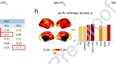 Analysis Of The Human Connectome Project Dataset A C Representation