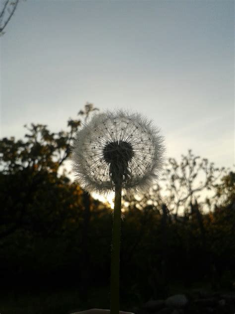 Nena 🌙 — “blow And Make A Wish”