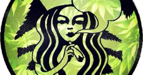 Canni Album On Imgur