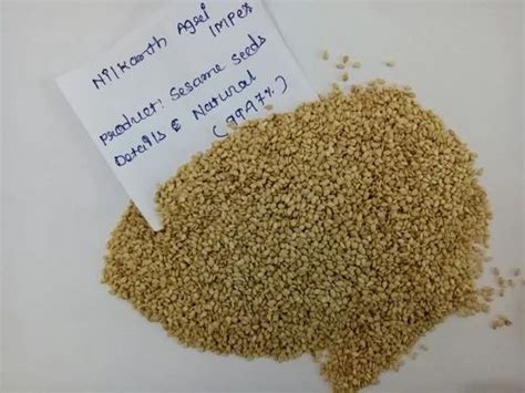 Sesame Seed Sortex Machine Accuracy 99 220 V At Rs 784875 In Bavla